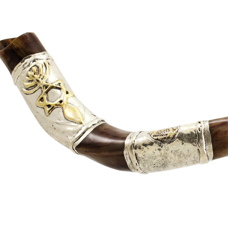 Silver 'Grafted In' Messianic Shofar - Authentic and Made in Israel