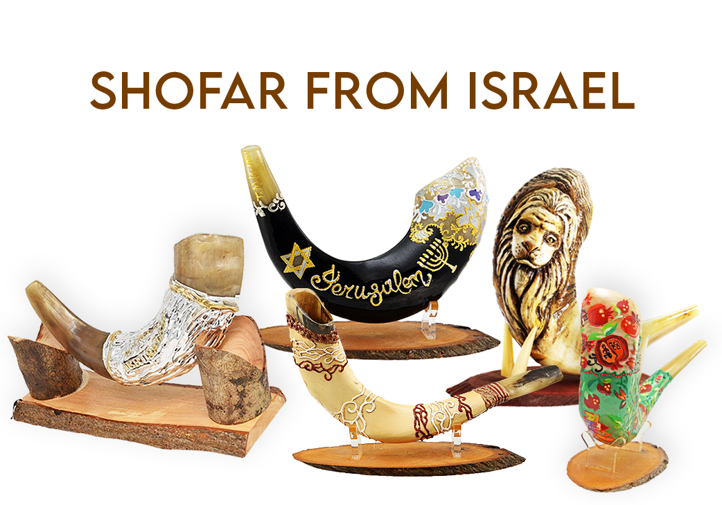 Shofar from Israel for Sale - Ram's Horn to Yemenite Kudu Shofars