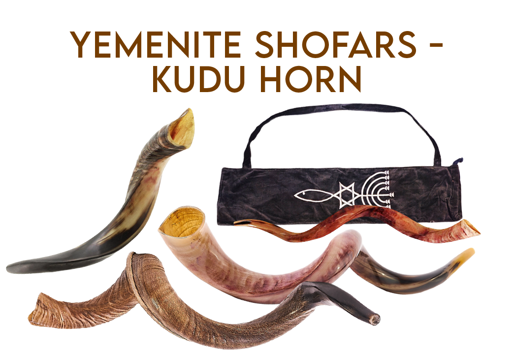 Kudu Horn Instrument Of Africa